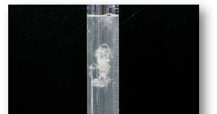 Sciences de la vie et de la Terre - Académie de Lyon