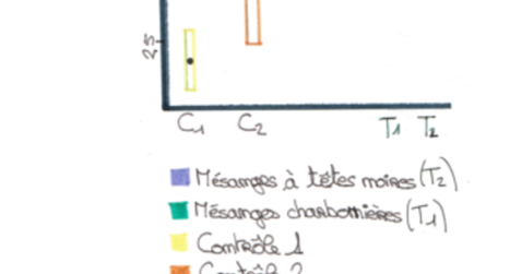 Sciences de la vie et de la Terre - Académie de Lyon