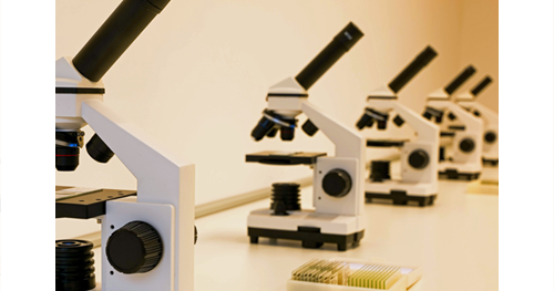 Sciences de la vie et de la Terre - Académie de Lyon