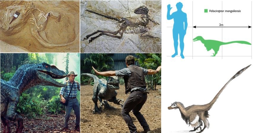 Sciences de la vie et de la Terre - Académie de Lyon